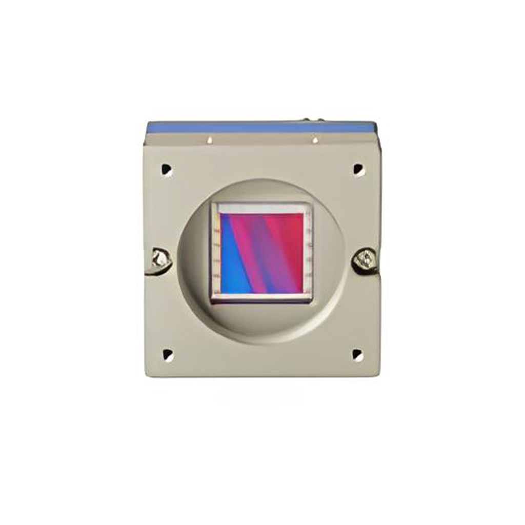 Nano-10GigE-C6200 - IRMARINETECH - Flir Turkey Distributor